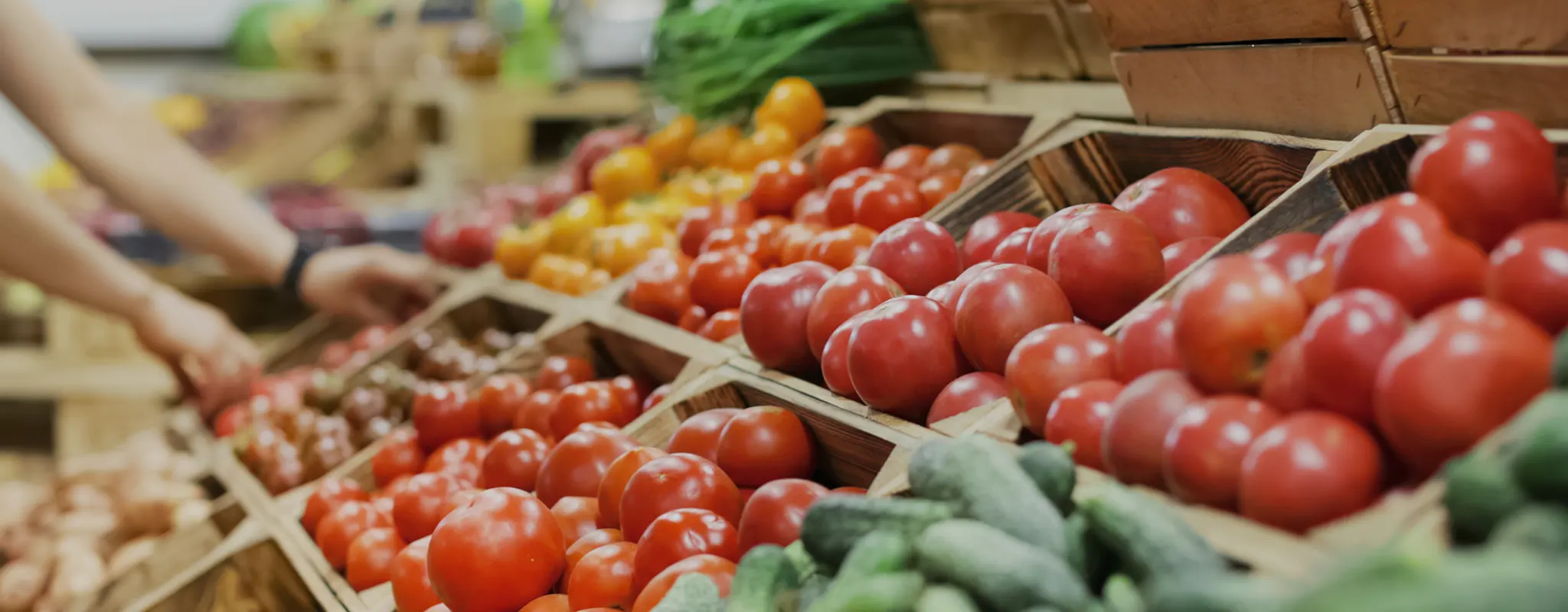 Wholesale Trade | Bradmount Foods